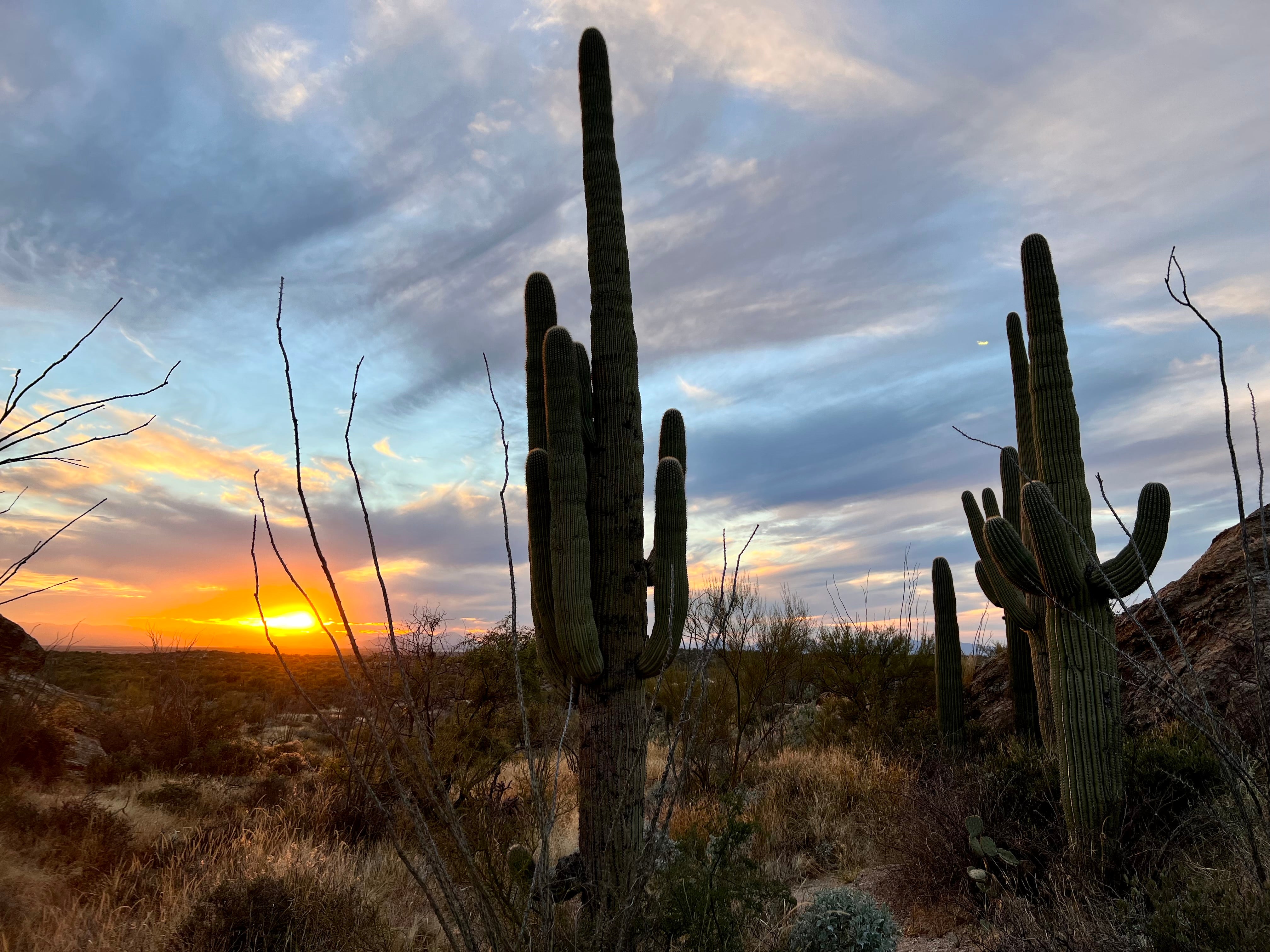 all – Pigeon Heart Designs